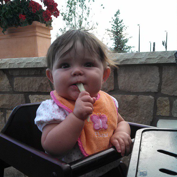 Celery for Baby-Led Weaning Success - Amber Hinds